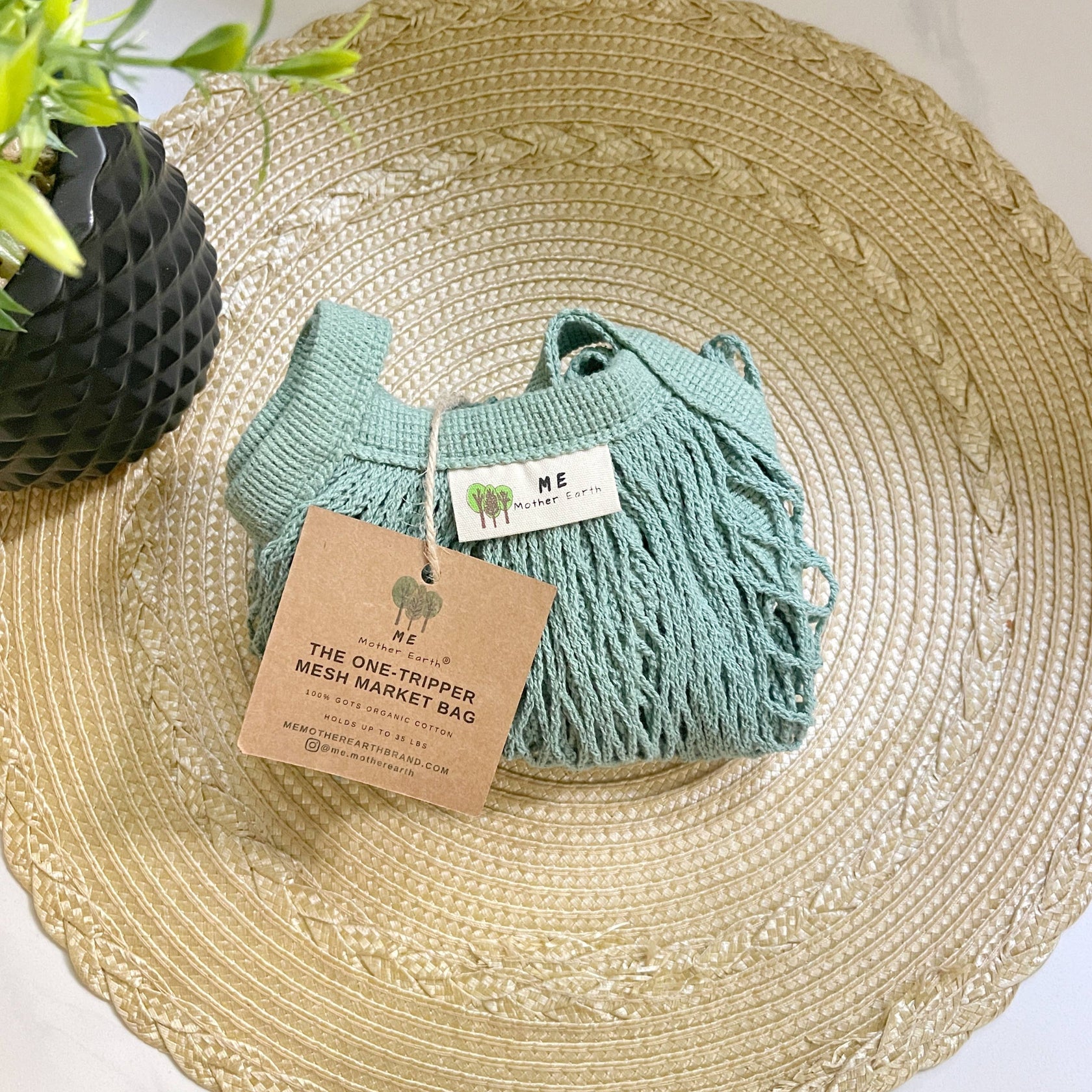 Favor and Fern – Favor & Fern